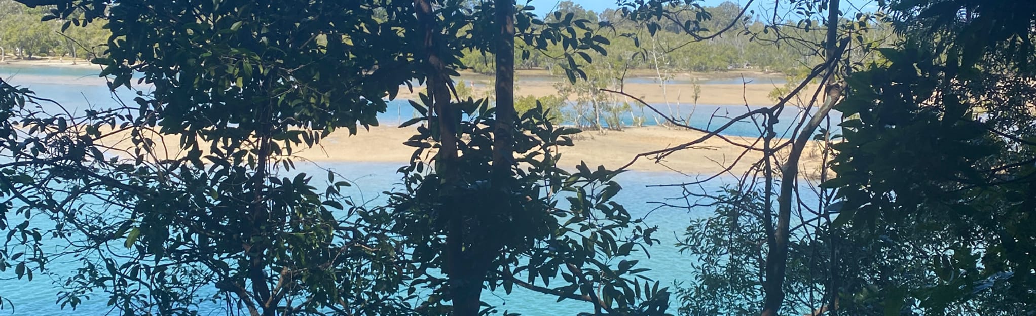 Tallebudgera Walk - Queensland, Australia | AllTrails