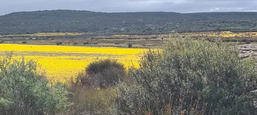 2023 Best Waterfall Trails in Vanrhynsdorp | AllTrails