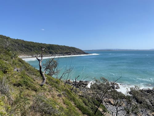 2023 Best 10 Walking Trails in Noosa Shire | AllTrails