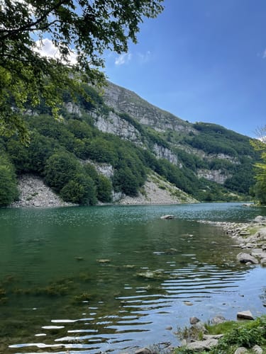 I 10 migliori sentieri nei boschi in Parco Regionale dell'Alto ...