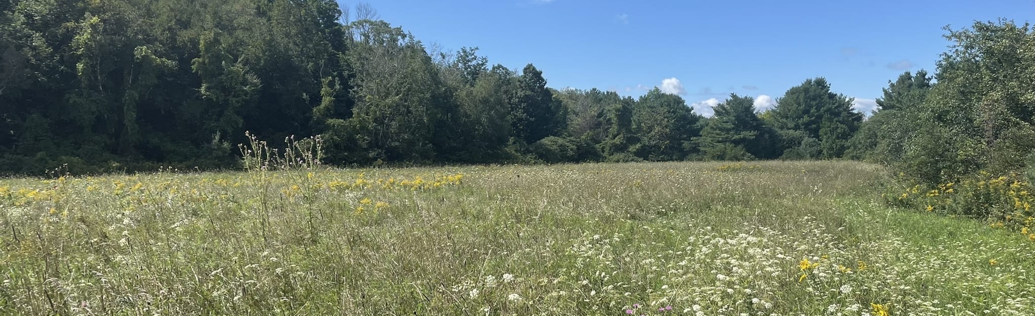 Red Trail and Long Path Thacher Aqua Green Loop, New York - 154 Reviews ...