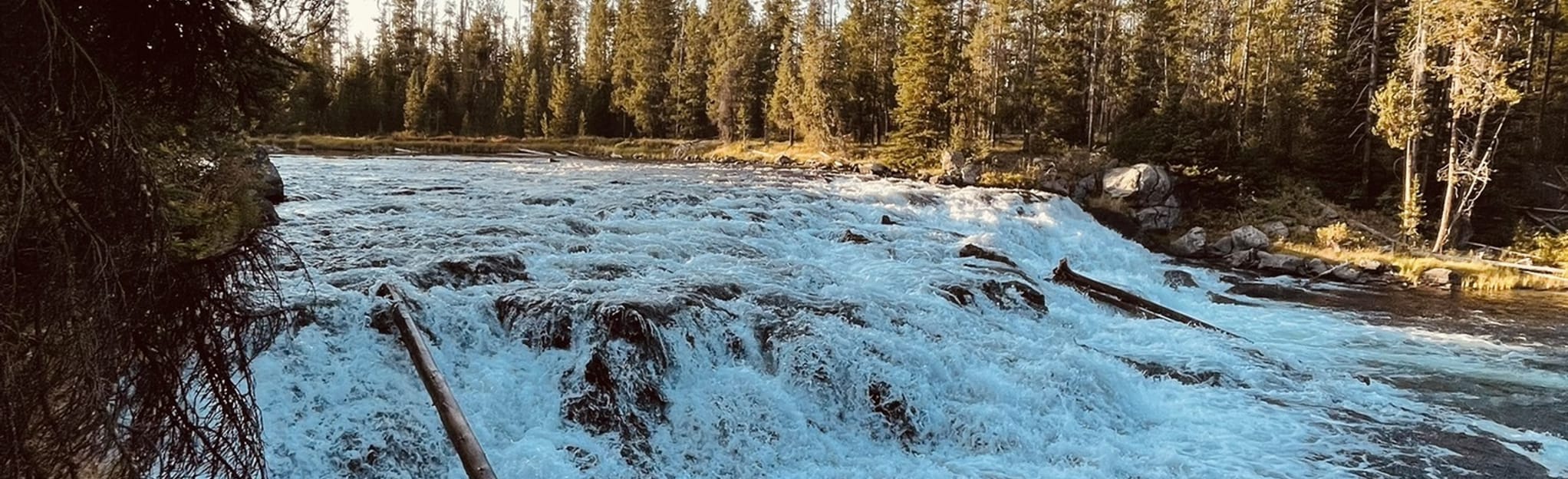 Cave Falls to Bechler Falls: 72 Reviews, Map - Montana | AllTrails