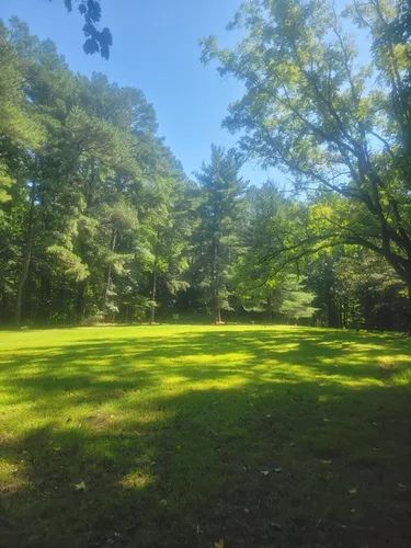 Best Hikes and Trails in Blackbird State Forest | AllTrails