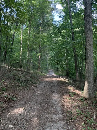 Best Hikes and Trails in Clemson | AllTrails