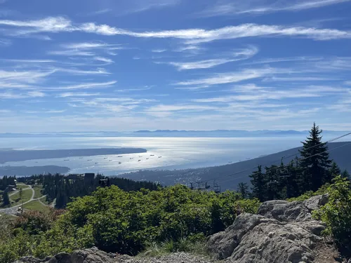 10 Best Hikes and Trails in Grouse Mountain Park | AllTrails