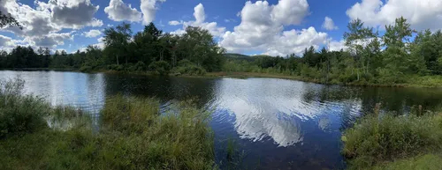 Best 10 Hiking Trails in Clarksburg State Park | AllTrails