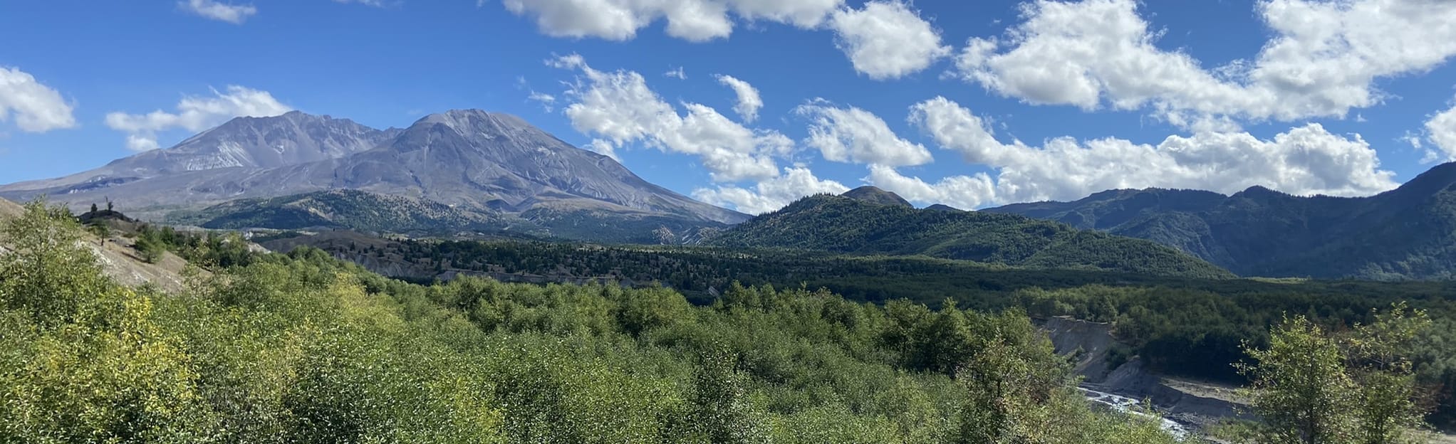 Hummocks Trail, Washington - 908 Reviews, Map | AllTrails