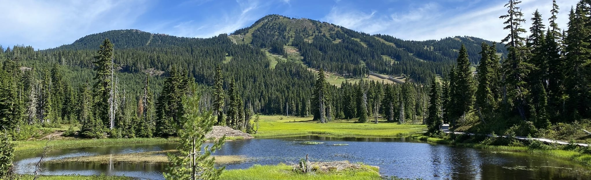 Paradise Meadows Loop Trail: 178 Reviews, Map - British Columbia ...