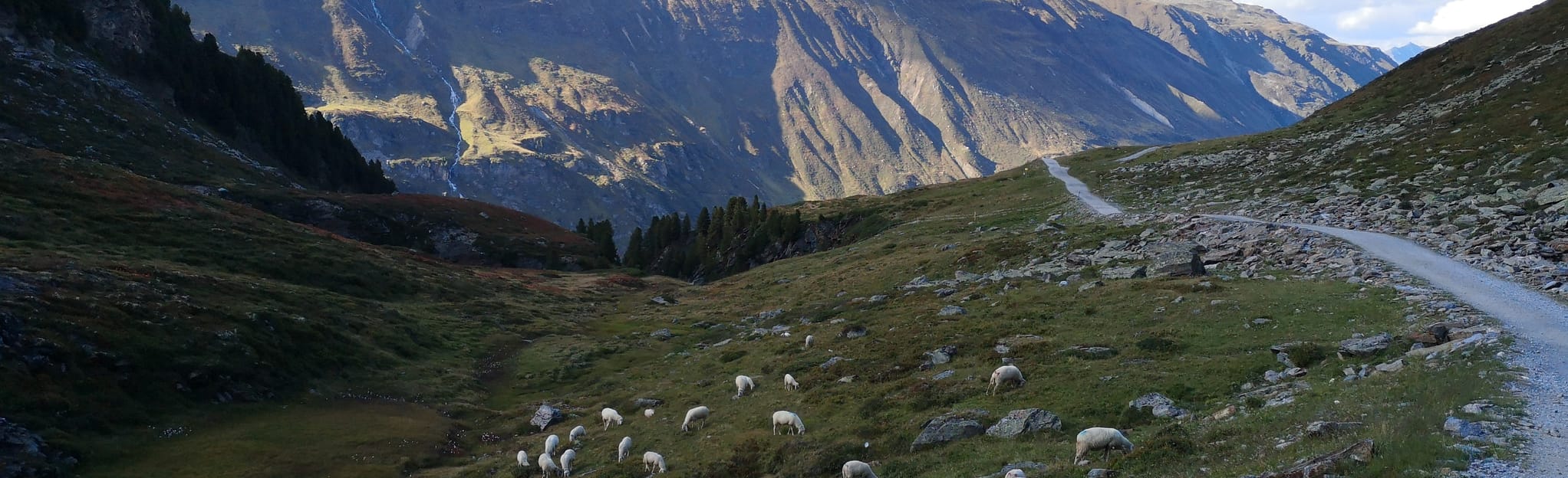 Gipfelwanderung Obergurgl - Rotmoostal - Hohe Mut: 12 Reviews, Map ...