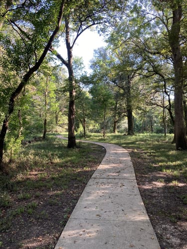 Best Hikes and Trails in Riverside Community Park | AllTrails