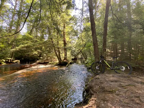 10 Best Forest Trails in Bear Brook State Park | AllTrails