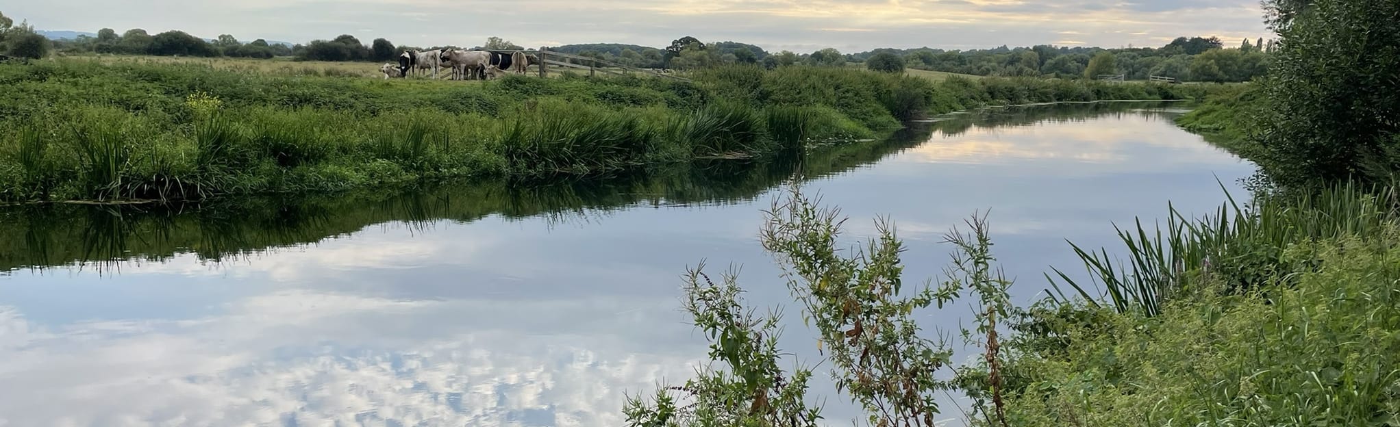 River Parrett Circular, Somerset, England - 38 Reviews, Map | AllTrails