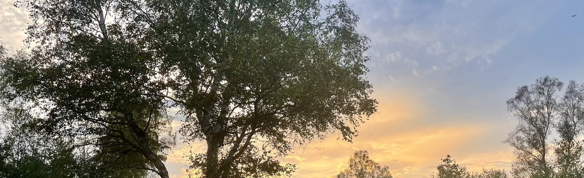 Chobham Common North Circular Walk - Surrey, England | AllTrails