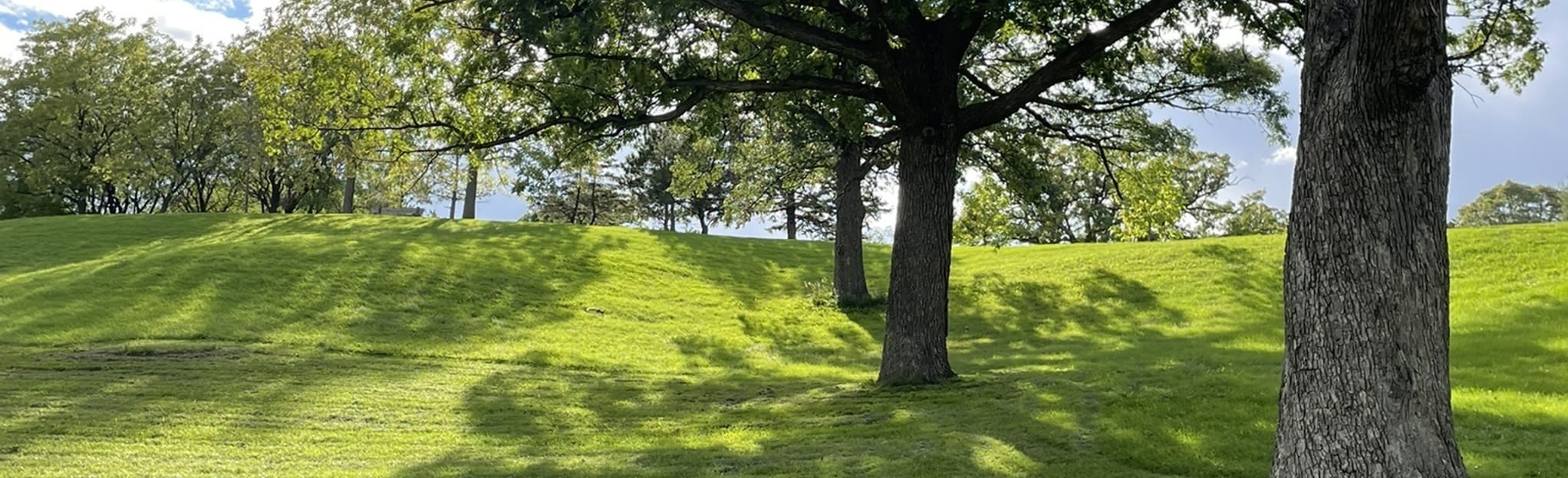 Farview Park Loop, Minnesota - 2 Reviews, Map | AllTrails