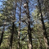 STS (Susquehannock Trail System) Backpacking Loop, Pennsylvania - 62 ...