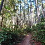 Cross Island Trail, Washington - 45 Reviews, Map | AllTrails