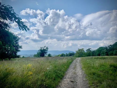Best Hikes and Trails in Scranton | AllTrails