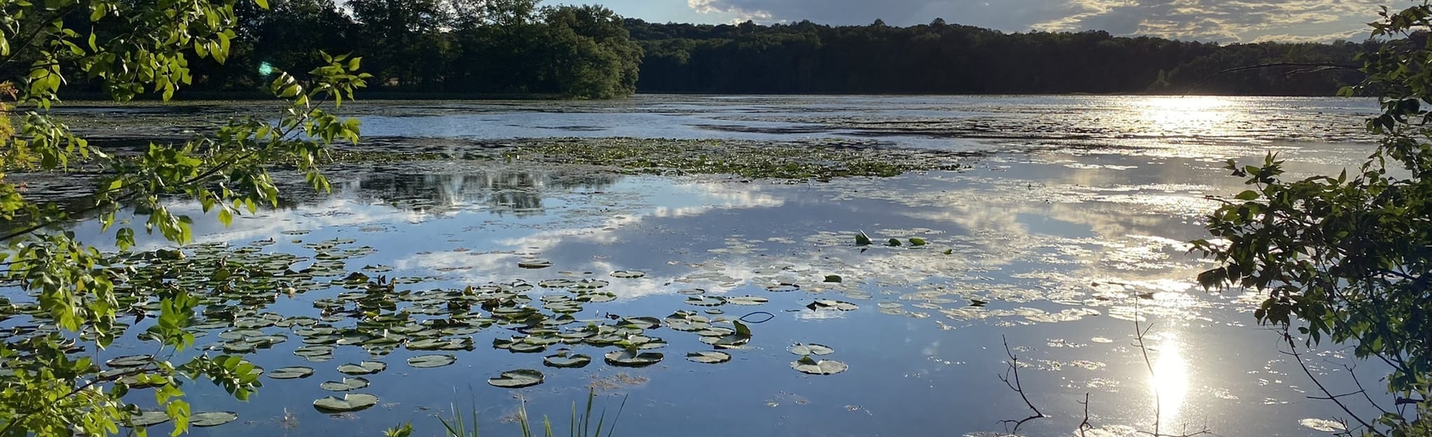Haven Hill Lake Loop via Blue Trail: 403 Reviews, Map - Michigan ...