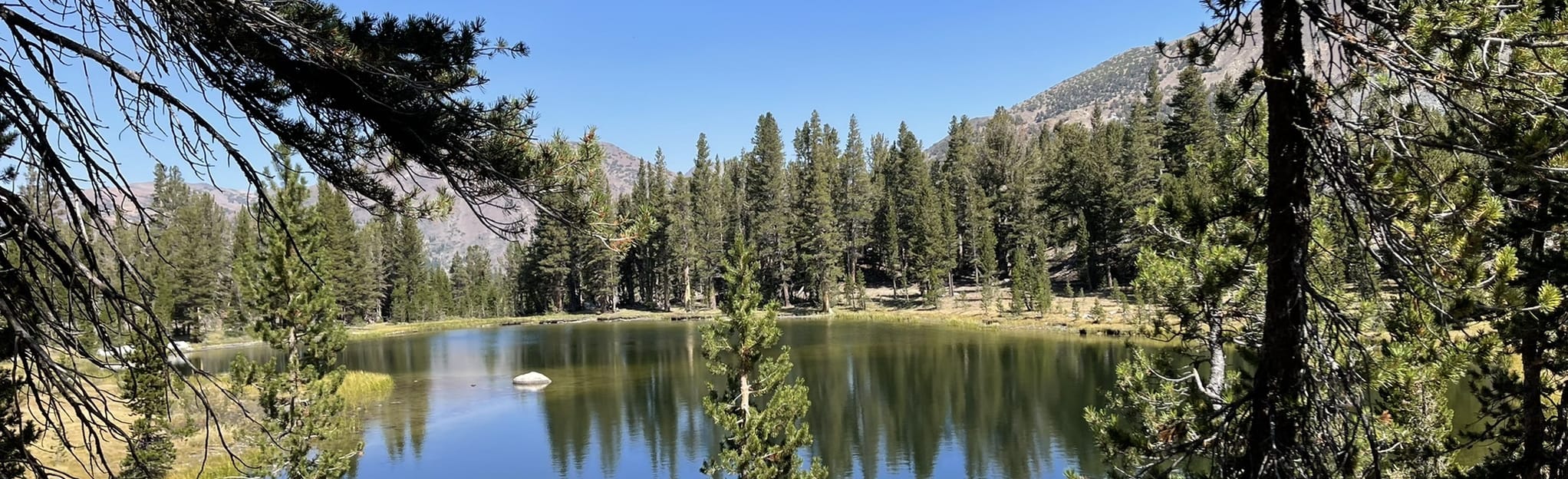 Mount Dana Summit Trail, California - 868 Reviews, Map | AllTrails