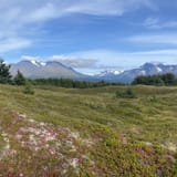 Lost Lake via Primrose Trail, Alaska - 239 Reviews, Map | AllTrails