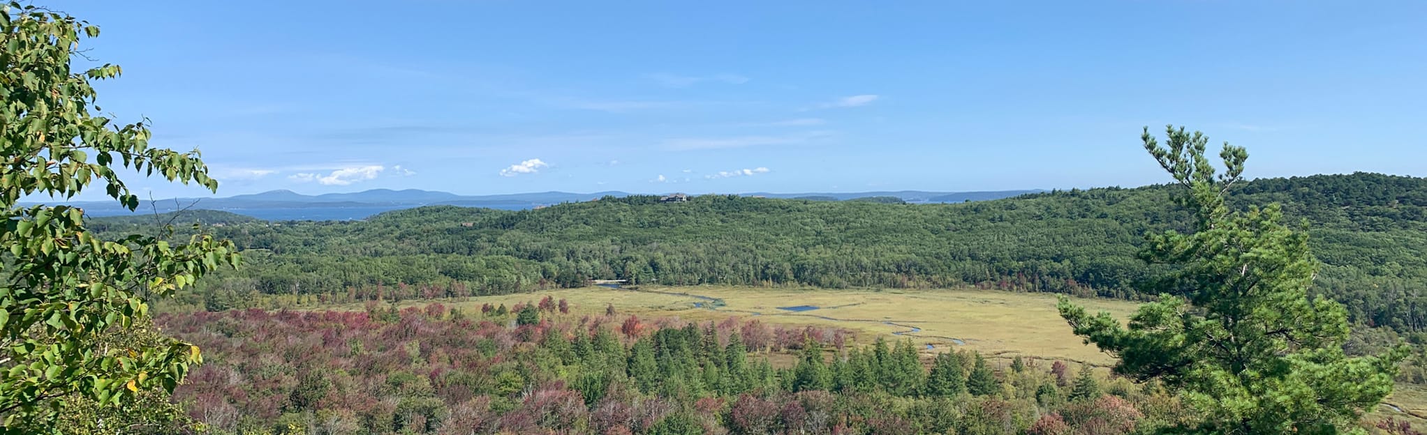 Homans and Emery Path: 246 Reviews, Map - Maine | AllTrails