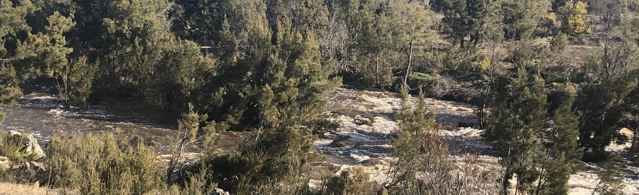 Pine Island to Point Hut Crossing | Map, Guide - Australian Capital ...