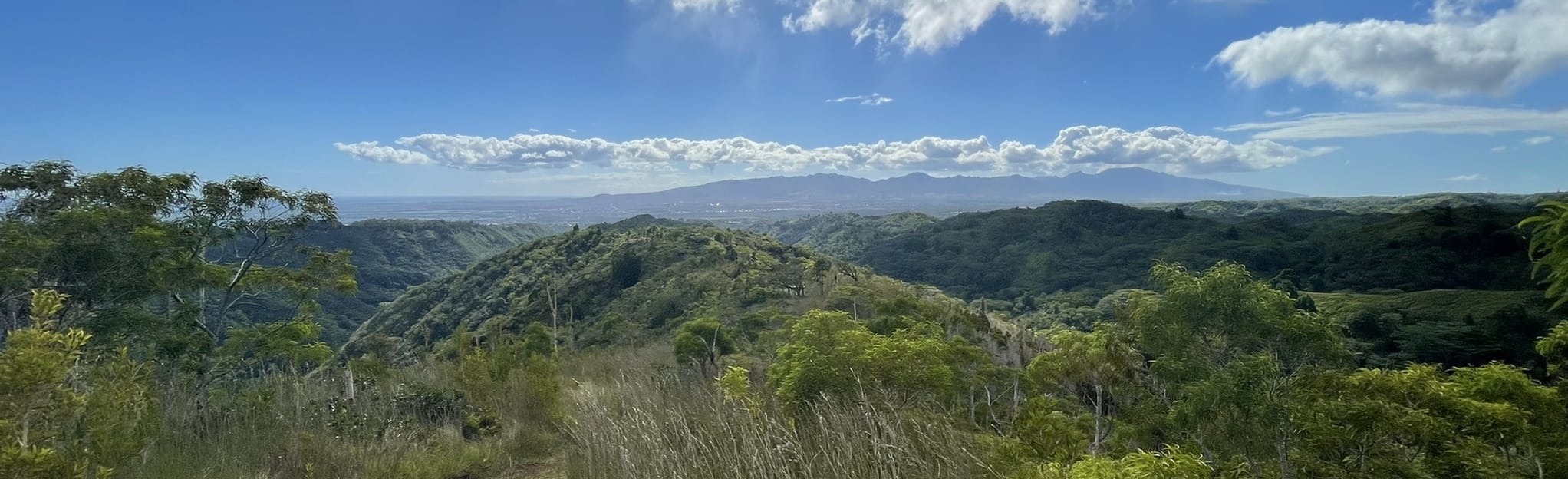 Manana Ridge Trail - Oahu, Hawaii | AllTrails