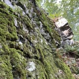 Lake Ouachita Vista Trail (LOViT), Arkansas - 85 Reviews, Map | AllTrails