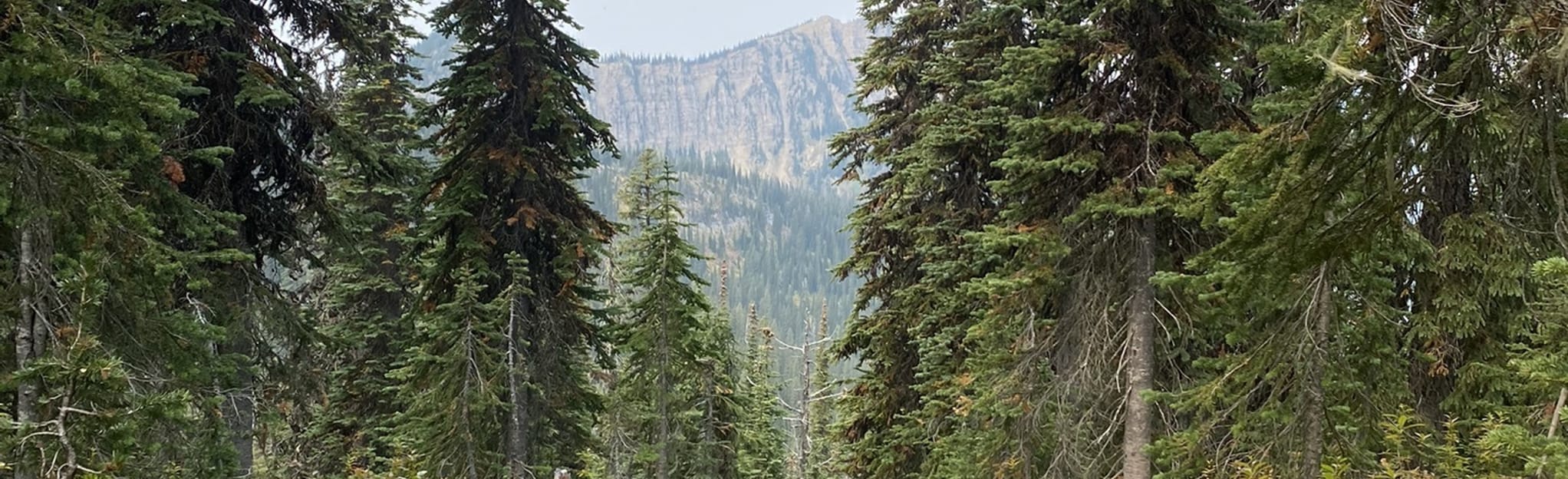 Big Therriault Lake to Therriault Pass Loop: 14 Reviews, Map - Montana ...