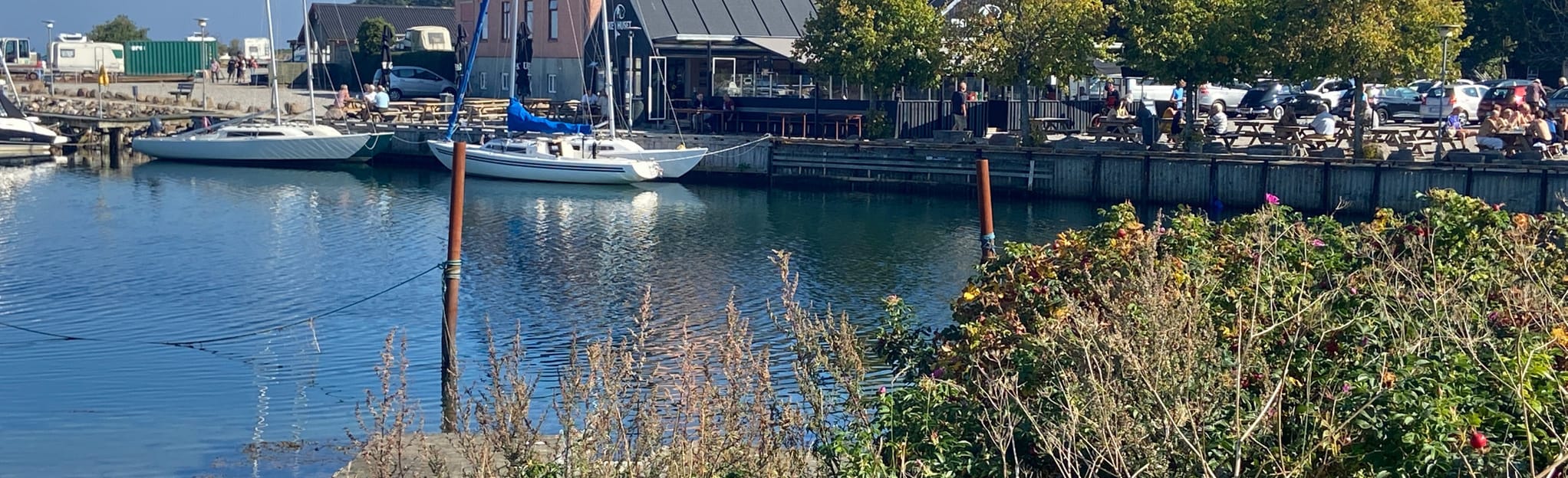 Moesgård Beach - Skåde Forest - Norsminde Harbour: 10 Reviews, Map ...