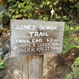Agnes Gorge Trail, Washington - 131 Reviews, Map | AllTrails