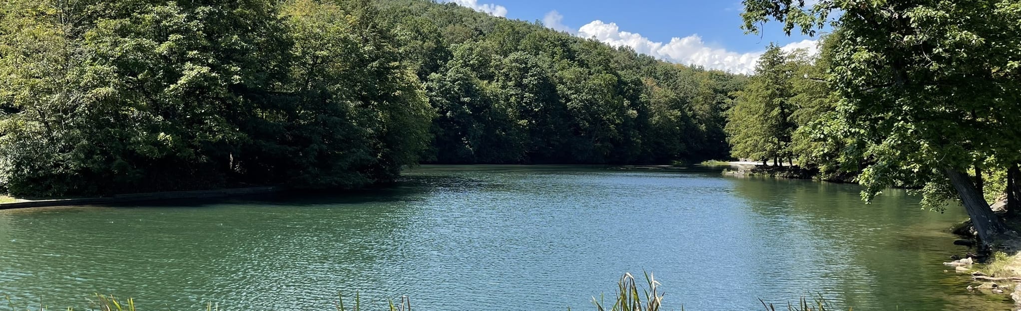 Kooser State Park Loop Trail: 139 Reviews, Map - Pennsylvania | AllTrails