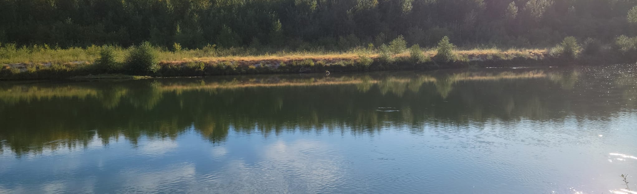 Camelot Spur and Cook Ferry Trail, Washington - 39 Reviews, Map | AllTrails