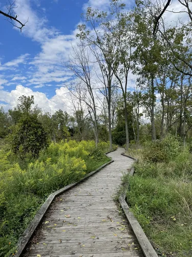 10 Best Trails and Hikes in State College | AllTrails