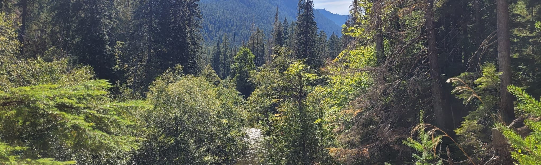 Duckabush River to Lacrosse Pass Trail - Washington | AllTrails