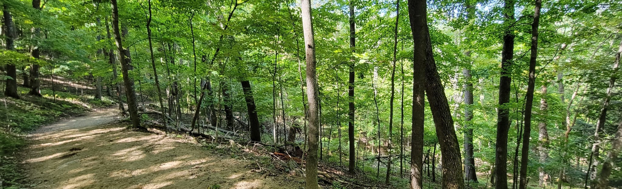 Wildcat Mountain Red Trail, Wisconsin - 29 Reviews, Map | AllTrails