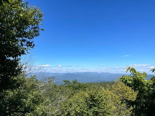 10 Best Camping Trails in Chattahoochee-Oconee National Forest | AllTrails