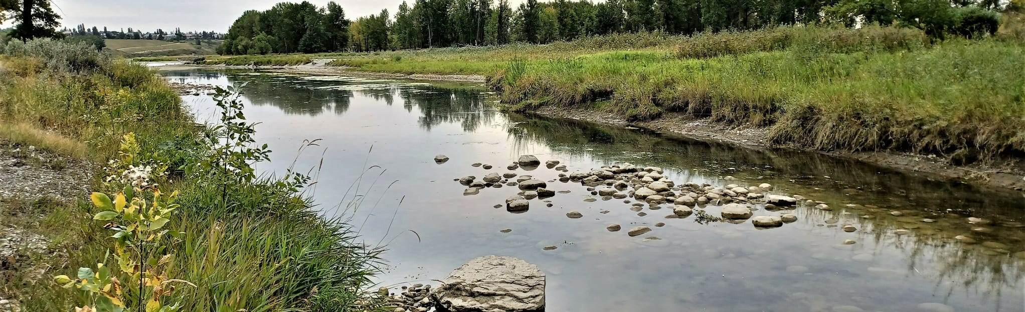 Bow River Pathway: Carburn Park to Douglas Park Diamonds - Alberta ...