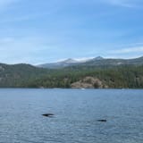 Upper Priest Lake Navigation Trail, Idaho - 176 Reviews, Map | AllTrails