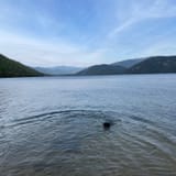 Upper Priest Lake Navigation Trail, Idaho - 176 Reviews, Map | AllTrails