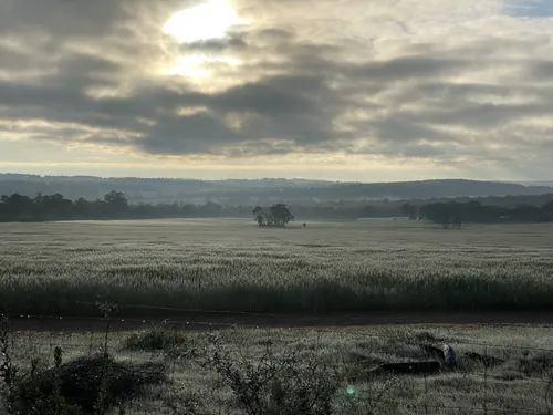 Best Hikes and Trails in Wandoo National Park | AllTrails