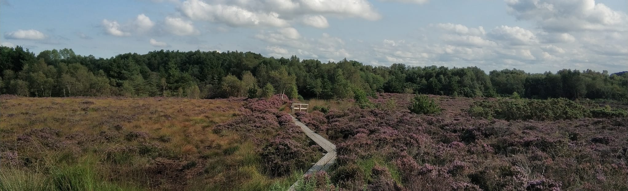 Girley Bog | Portach na Greallaí, County Meath, Ireland - 134 Reviews ...