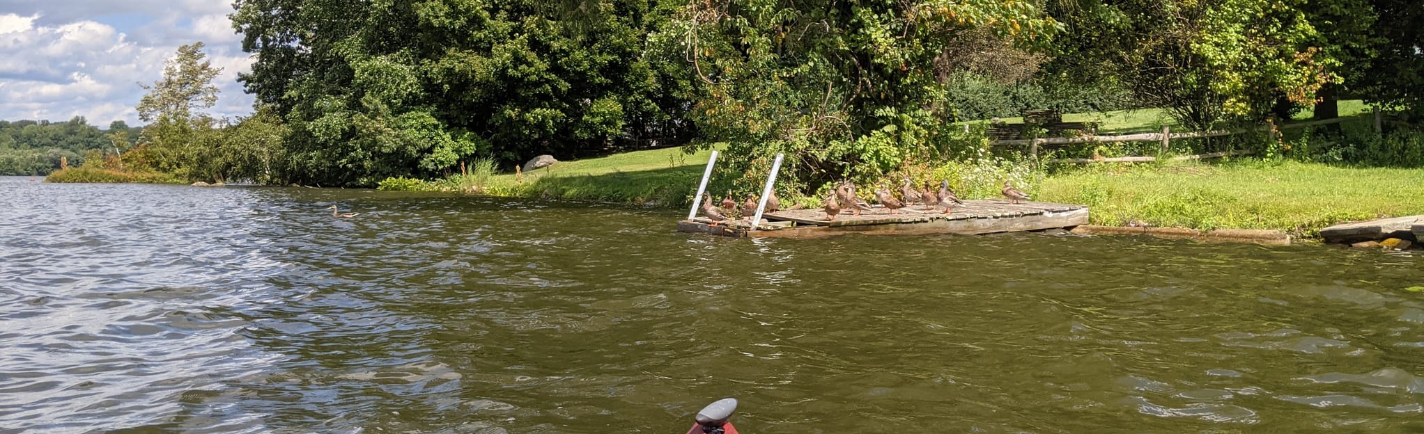 Lake Musconetcong Paddle Route | Map, Guide - New Jersey | AllTrails