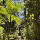 Poona Lake, Queensland, Australia - 73 Reviews, Map | AllTrails