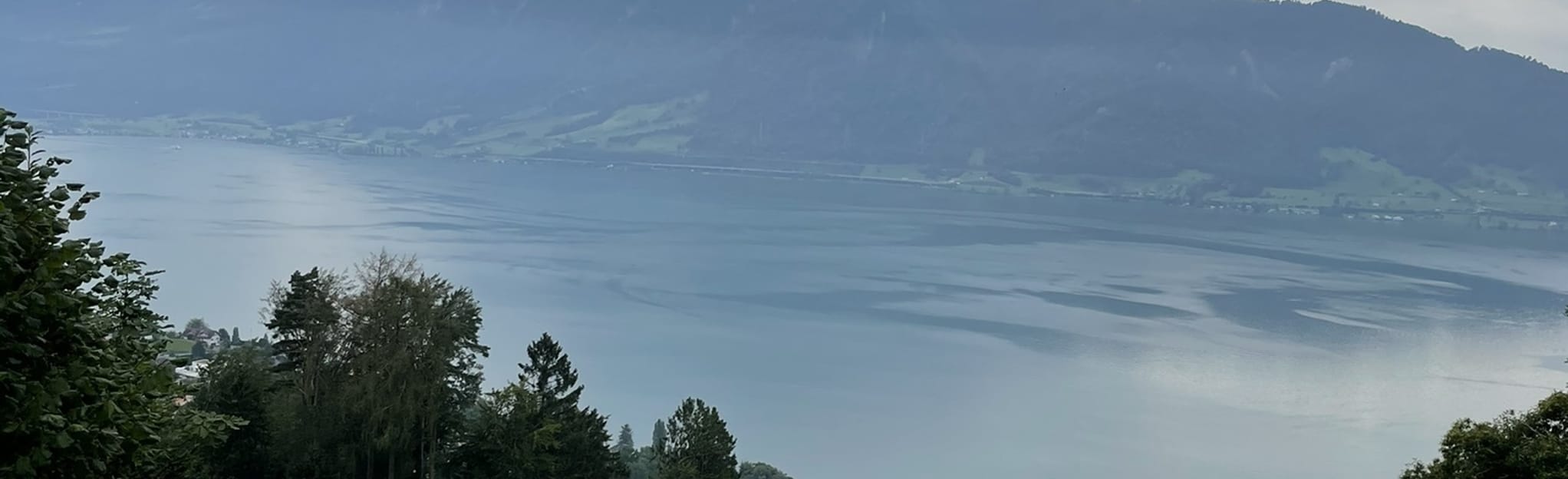 Walchwil - Zug, Zug, Switzerland - Map, Guide | AllTrails