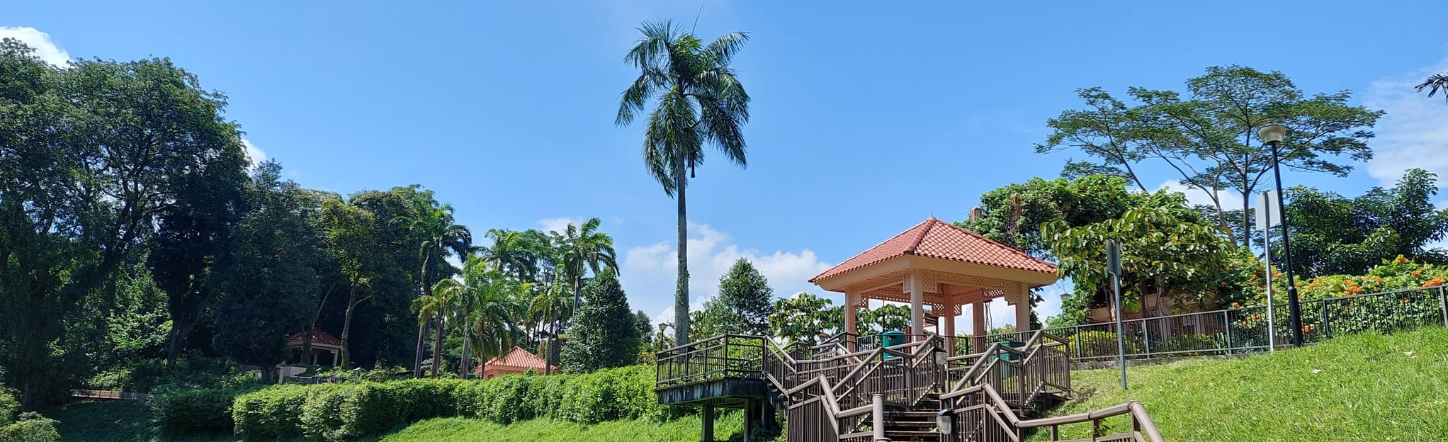 Faber Peak, Central, Singapore - 45 Reviews, Map | AllTrails