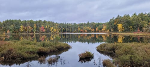 Best Hikes and Trails in Greenfield State Park | AllTrails
