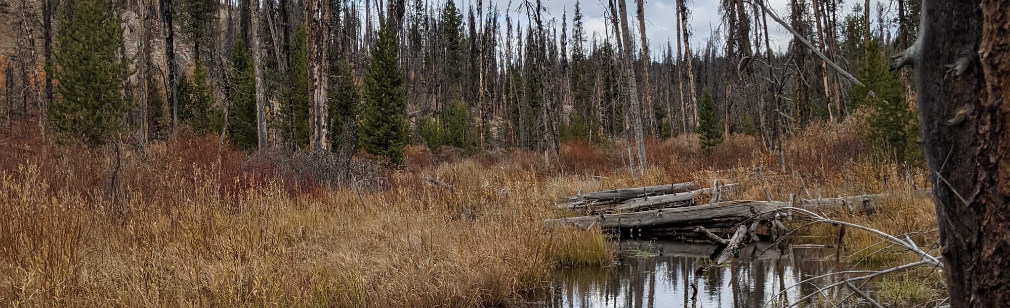 Beaver Creek - Lamar Creek Loop, Idaho - 21 Reviews, Map | AllTrails