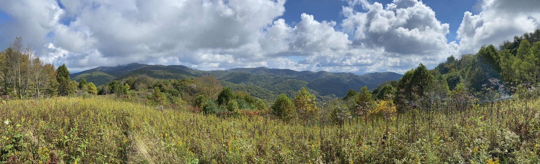 Appalachian Trail: Sam's Gap to Spivey Gap | Map, Guide - North ...