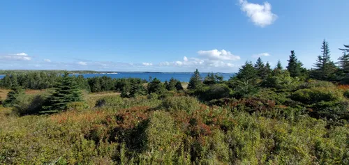 Best Hikes and Trails in Taylor Head Provincial Park | AllTrails